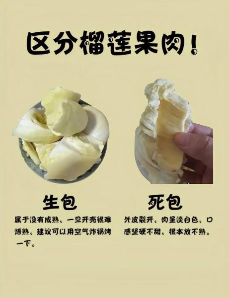 吃榴莲会长胖吗_榴莲热量高吗-第3张图片-山城妙识 吃榴莲会长胖吗_榴莲热量高吗-第3张图片-山城妙识