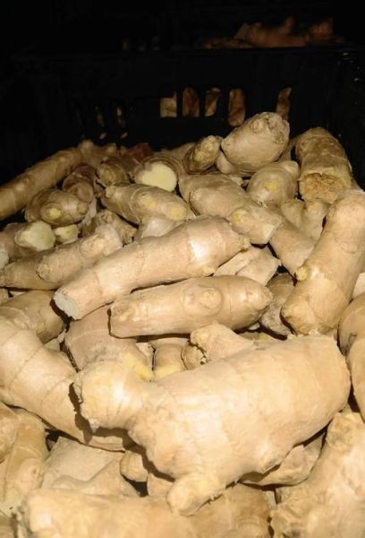 生姜通便真的有用吗_宿便怎么快速排出-第1张图片-山城妙识