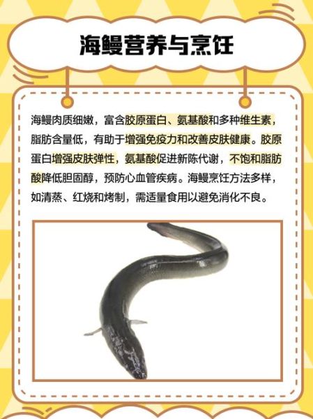 海鳗社区是什么_海鳗社区怎么用-第1张图片-山城妙识