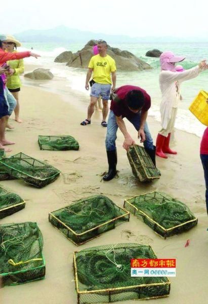 海鳗社区是什么_海鳗社区怎么用-第2张图片-山城妙识