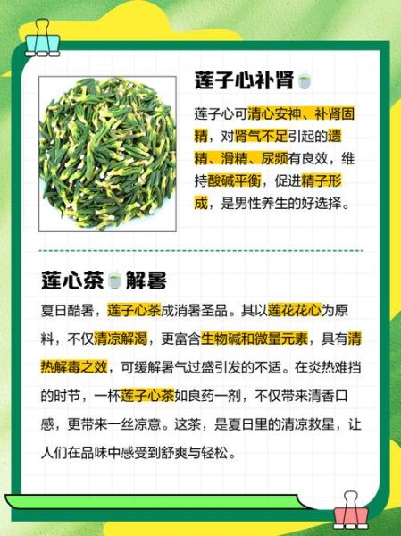 长期喝莲子心茶有什么副作用_莲子心茶禁忌人群-第1张图片-山城妙识 长期喝莲子心茶有什么副作用_莲子心茶禁忌人群-第1张图片-山城妙识
