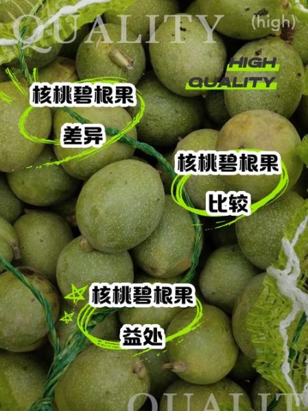 碧根果和核桃的区别_哪个营养价值更高-第1张图片-山城妙识