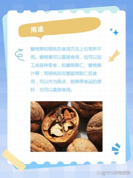 碧根果和核桃的区别_哪个营养价值更高-第2张图片-山城妙识