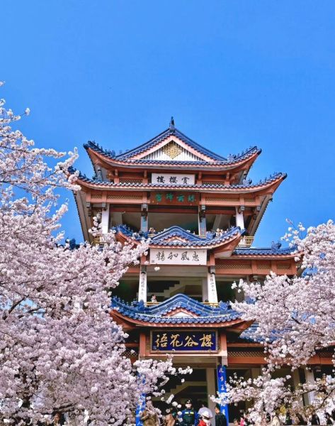 无锡旅游景点推荐_无锡必去景点有哪些-第3张图片-山城妙识