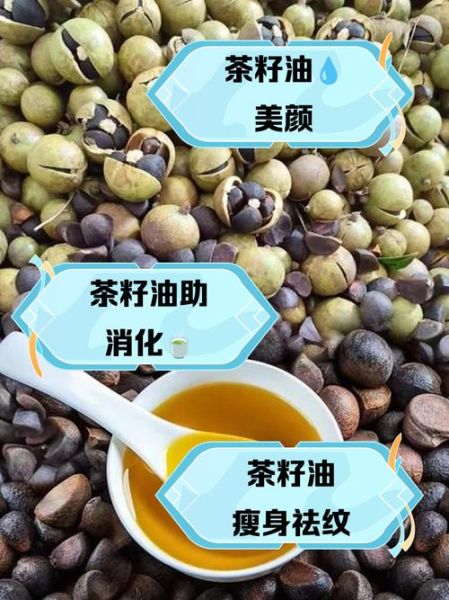 茶籽油怎么吃_茶籽油适合哪些烹饪方式-第1张图片-山城妙识