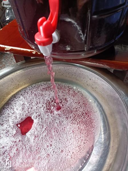 自家做葡萄酒怎么做_自酿葡萄酒需要哪些材料-第2张图片-山城妙识