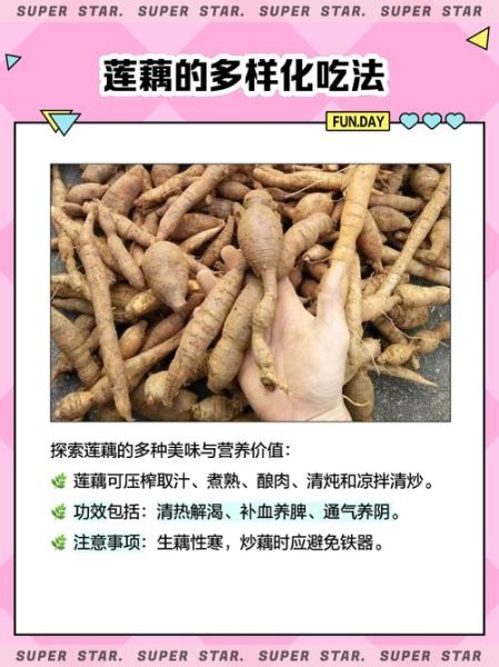 山莲藕图片_如何辨别真假山莲藕-第1张图片-山城妙识