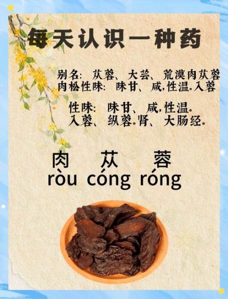 肉松蓉的功效与作用_怎么吃效果最好-第1张图片-山城妙识 肉松蓉的功效与作用_怎么吃效果最好-第1张图片-山城妙识