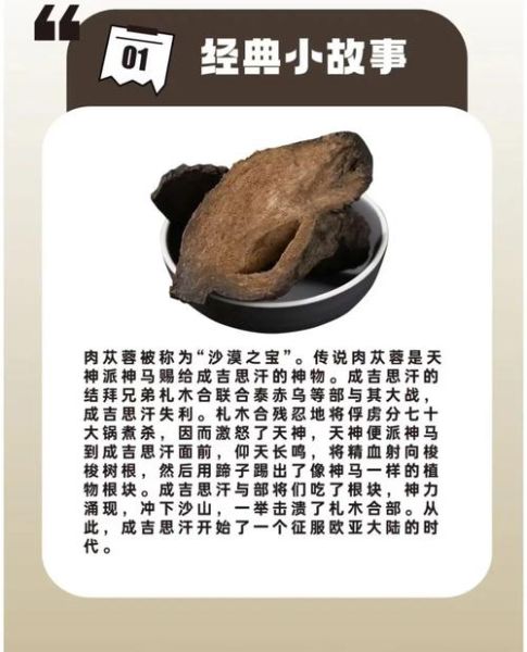 肉松蓉的功效与作用_怎么吃效果最好-第3张图片-山城妙识 肉松蓉的功效与作用_怎么吃效果最好-第3张图片-山城妙识