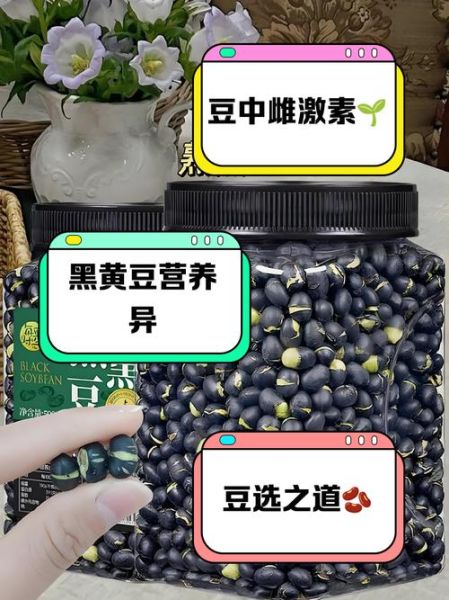 黑豆有哪些种类_黑豆和黄豆的区别-第1张图片-山城妙识