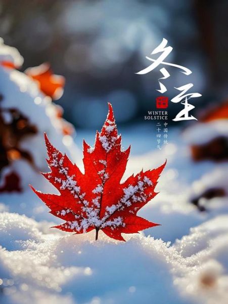 冬至饺子图片唯美_冬至为什么要吃饺子-第3张图片-山城妙识 冬至饺子图片唯美_冬至为什么要吃饺子-第3张图片-山城妙识