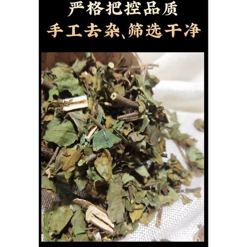 鲫鱼胆草药的功效与作用_鲫鱼胆草药怎么用-第2张图片-山城妙识