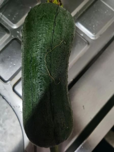 素丸子汤怎么做_素丸子汤的家常做法-第2张图片-山城妙识