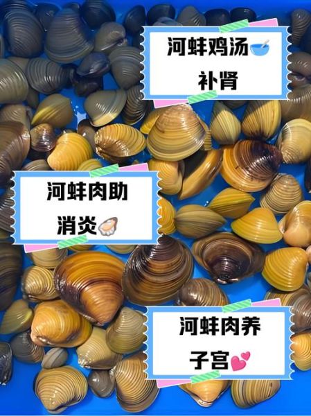 野生小河蚌能吃吗_野生小河蚌怎么处理-第1张图片-山城妙识