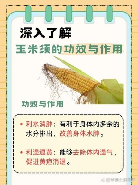 玉米须的功效与作用_玉米须的禁忌人群有哪些-第3张图片-山城妙识 玉米须的功效与作用_玉米须的禁忌人群有哪些-第3张图片-山城妙识