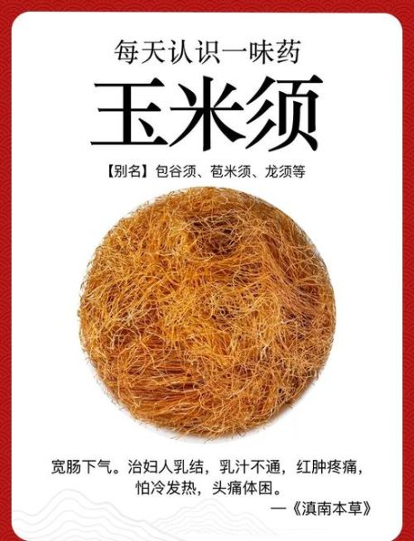 玉米须的功效与作用_玉米须的禁忌人群有哪些-第1张图片-山城妙识 玉米须的功效与作用_玉米须的禁忌人群有哪些-第1张图片-山城妙识