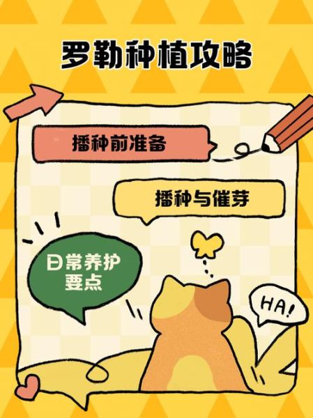 罗勒怎么种_罗勒种植方法-第1张图片-山城妙识