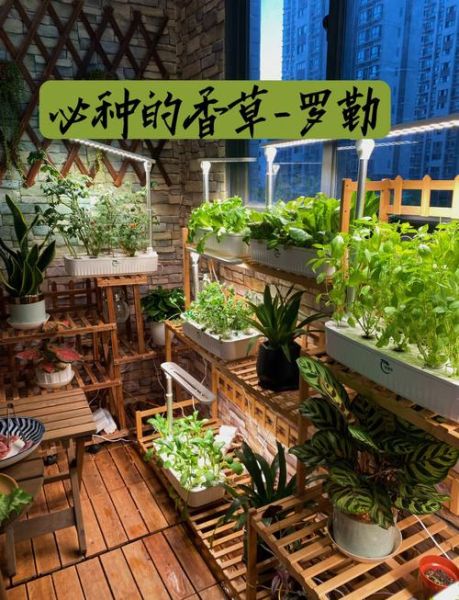 罗勒怎么种_罗勒种植方法-第2张图片-山城妙识