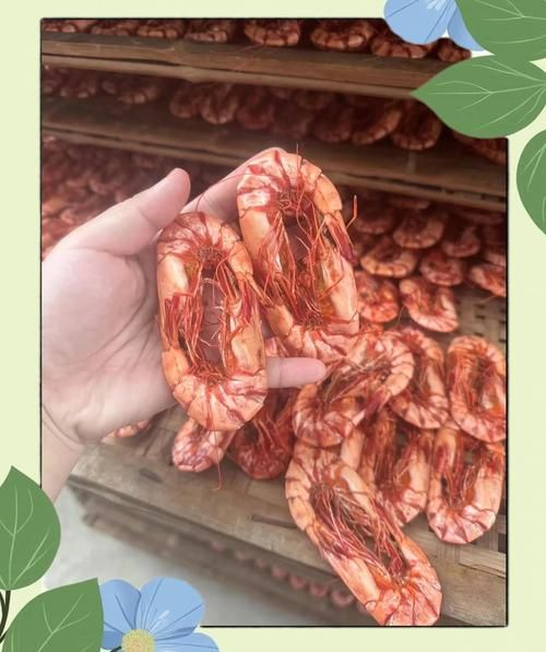 虾干怎么保存不变色_虾干和鲜虾营养区别-第3张图片-山城妙识