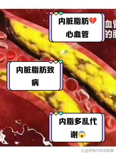 内脂是什么_内脂和内脏脂肪一样吗-第3张图片-山城妙识