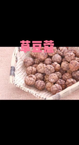 草豆蔻的功效与作用_草豆蔻的禁忌有哪些-第1张图片-山城妙识