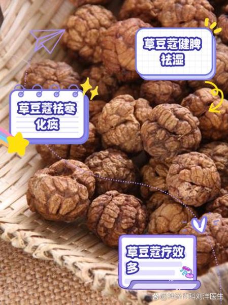 草豆蔻的功效与作用_草豆蔻的禁忌有哪些-第3张图片-山城妙识