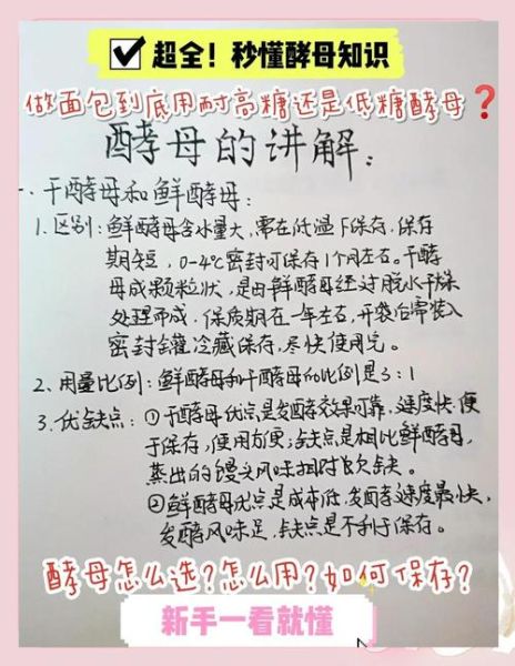 自制酵母怎么做_自制酵母配方比例-第2张图片-山城妙识