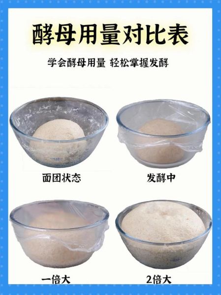 自制酵母怎么做_自制酵母配方比例-第1张图片-山城妙识