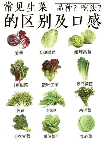 菜品种类大全图有哪些_如何快速看懂-第1张图片-山城妙识