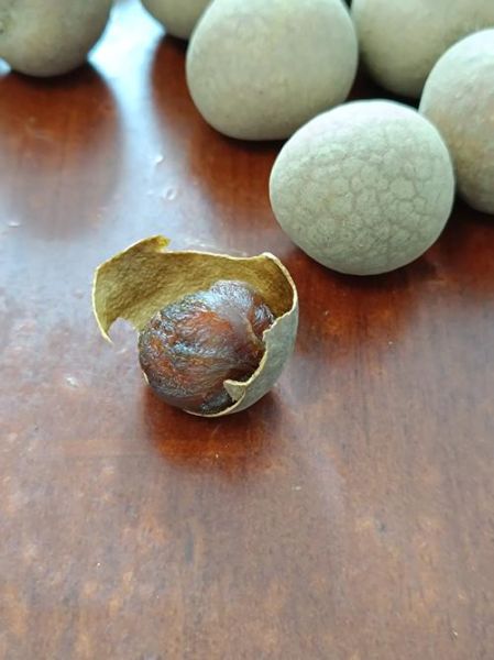 龙眼干怎么制作_龙眼干制作过程详解-第1张图片-山城妙识