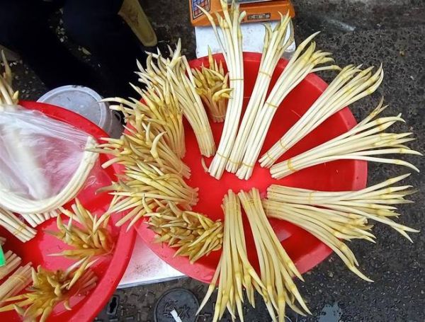 藕与藕带有什么区别_如何挑选新鲜藕带-第2张图片-山城妙识 藕与藕带有什么区别_如何挑选新鲜藕带-第2张图片-山城妙识