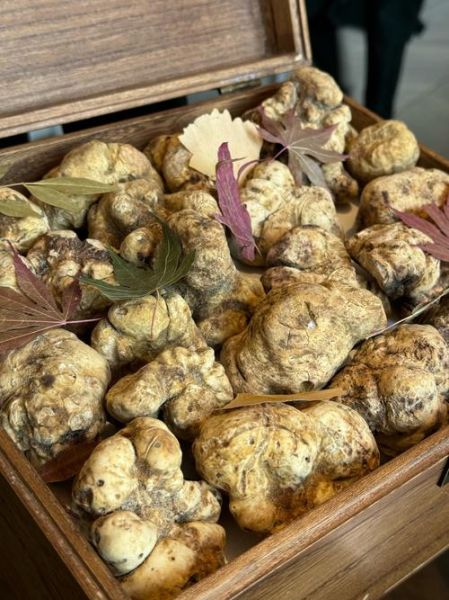 白松露怎么吃_白松露配什么最好吃-第1张图片-山城妙识