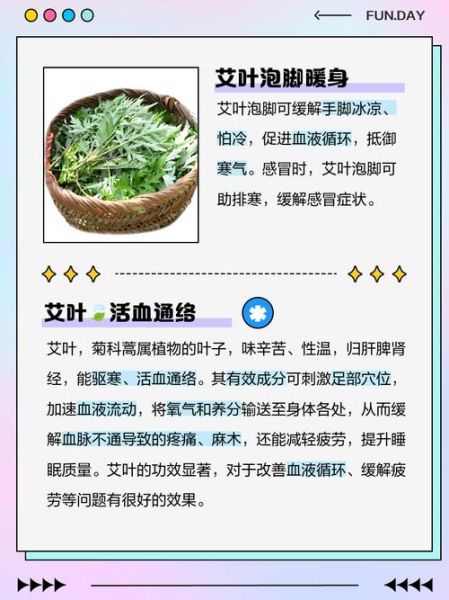 艾叶泡脚有什么好处与禁忌_孕妇能用艾叶吗-第2张图片-山城妙识