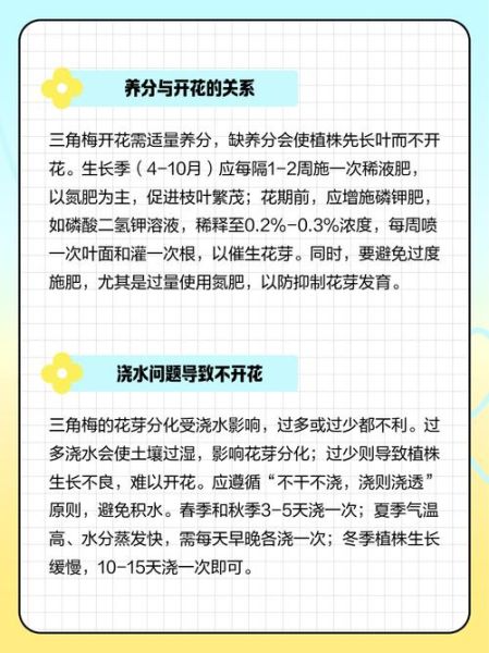 三角梅怎么养才开花_三角梅不开花的原因-第1张图片-山城妙识