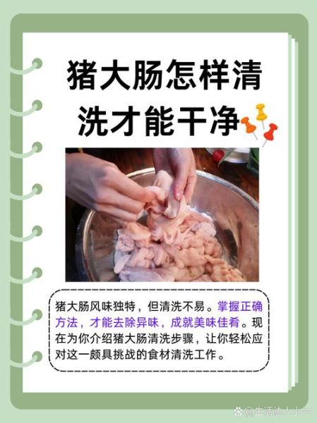 肥肠怎么清洗才没异味_家常肥肠的做法大全-第1张图片-山城妙识