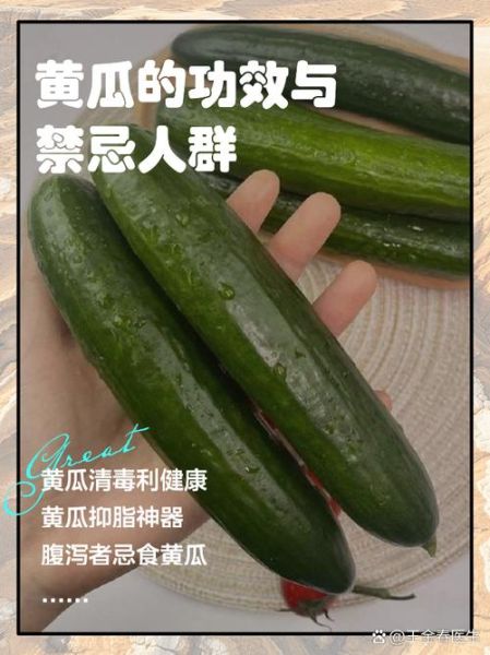 黄瓜的功效与作用及禁忌_什么人不能吃-第1张图片-山城妙识