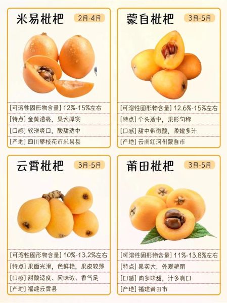 枇杷果多少钱一斤_枇杷价格行情-第2张图片-山城妙识 枇杷果多少钱一斤_枇杷价格行情-第2张图片-山城妙识