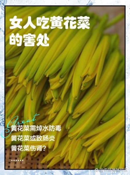 鲜黄花菜含有秋水仙碱吗_如何安全食用-第2张图片-山城妙识 鲜黄花菜含有秋水仙碱吗_如何安全食用-第2张图片-山城妙识