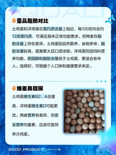 洋鸡蛋和普通鸡蛋的区别_洋鸡蛋营养价值高吗-第1张图片-山城妙识