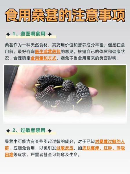 桑椹的功效与作用_桑椹怎么吃最养肝肾-第1张图片-山城妙识 桑椹的功效与作用_桑椹怎么吃最养肝肾-第1张图片-山城妙识