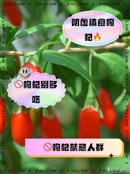 吃枸杞有什么好处_枸杞的副作用有哪些-第3张图片-山城妙识 吃枸杞有什么好处_枸杞的副作用有哪些-第3张图片-山城妙识