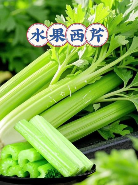 西芹怎么去筋图解_西芹去筋最简单的方法-第2张图片-山城妙识 西芹怎么去筋图解_西芹去筋最简单的方法-第2张图片-山城妙识