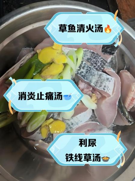 铁线草炖乌鱼汤怎么做_孕妇能喝吗-第2张图片-山城妙识 铁线草炖乌鱼汤怎么做_孕妇能喝吗-第2张图片-山城妙识