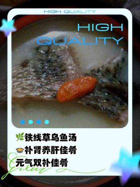 铁线草炖乌鱼汤怎么做_孕妇能喝吗-第1张图片-山城妙识 铁线草炖乌鱼汤怎么做_孕妇能喝吗-第1张图片-山城妙识