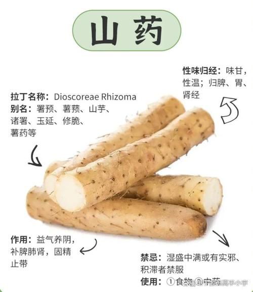 山药煮多久几分钟能熟_山药怎么判断熟了没-第1张图片-山城妙识 山药煮多久几分钟能熟_山药怎么判断熟了没-第1张图片-山城妙识