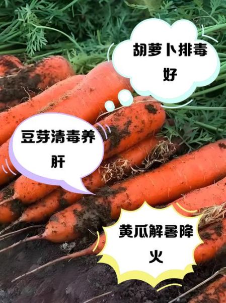 败火最快的食物有哪些_哪些食物降火效果最快-第2张图片-山城妙识