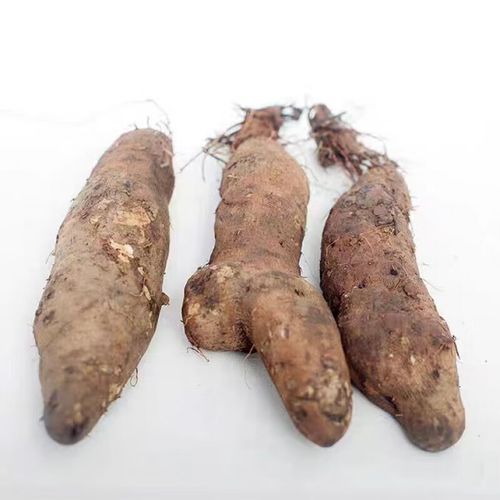 金秤砣山药的营养价值_孕妇能吃吗-第2张图片-山城妙识 金秤砣山药的营养价值_孕妇能吃吗-第2张图片-山城妙识