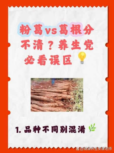 生葛根和熟葛根的区别_哪个更适合日常养生-第1张图片-山城妙识 生葛根和熟葛根的区别_哪个更适合日常养生-第1张图片-山城妙识