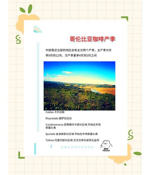 哥伦比亚咖啡产区有哪些_哥伦比亚咖啡豆风味特点-第3张图片-山城妙识 哥伦比亚咖啡产区有哪些_哥伦比亚咖啡豆风味特点-第3张图片-山城妙识