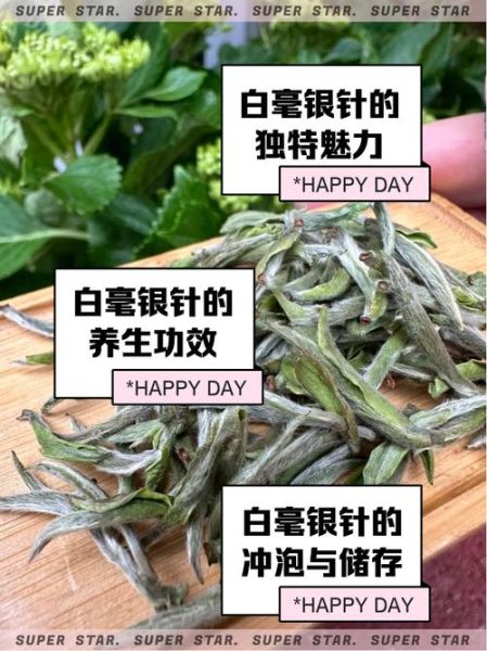 白毫银针属于什么茶_白毫银针是绿茶还是白茶-第3张图片-山城妙识